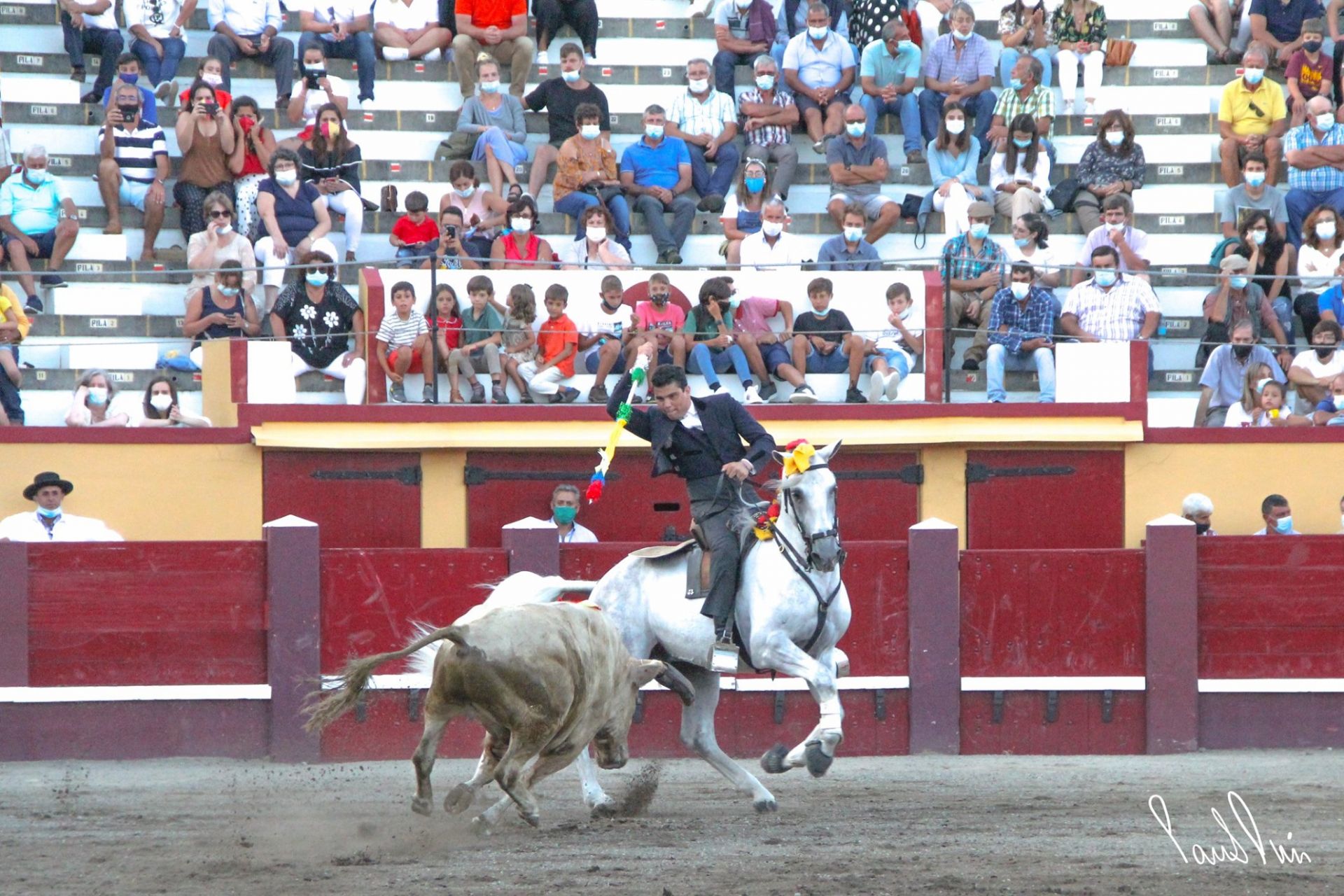 Covid-19: Autoridade de Saúde dos Açores diz que organização de tourada ...